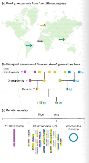 In Fig. 20.17 on P. 680, to What Part of the World Does Dion's ...